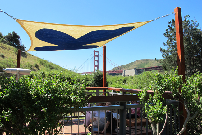 butterfly shade sail for Discovery Museum - The Canvas Works, Sausalito ...